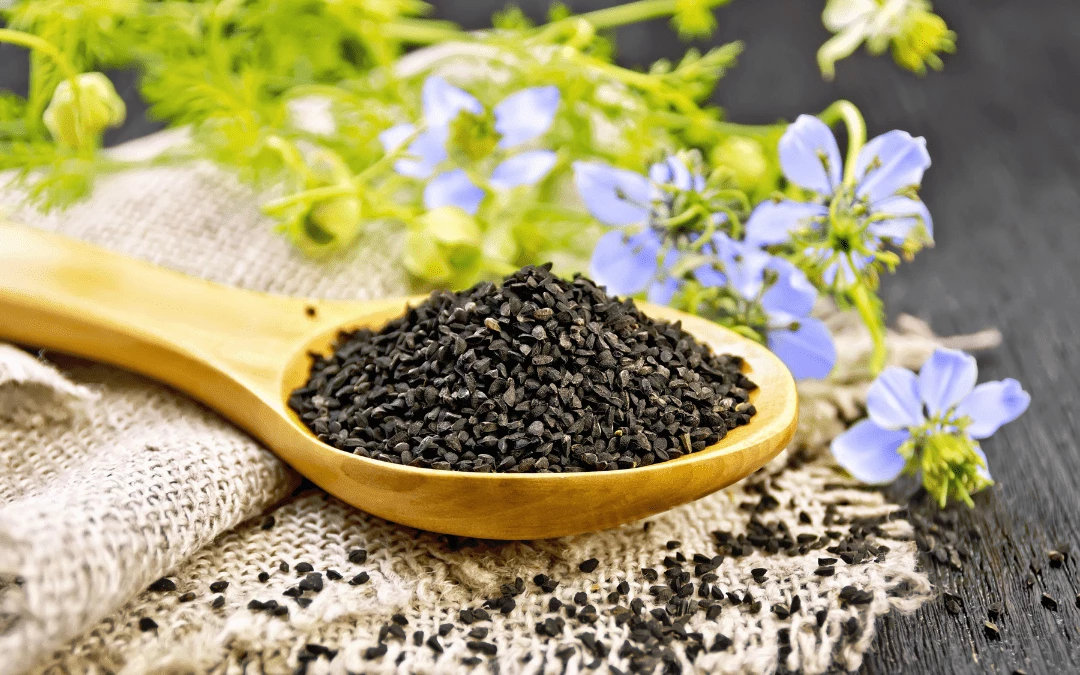 Black Seed Science Validated Health Benefits black-seed-science-validated-health-benefits